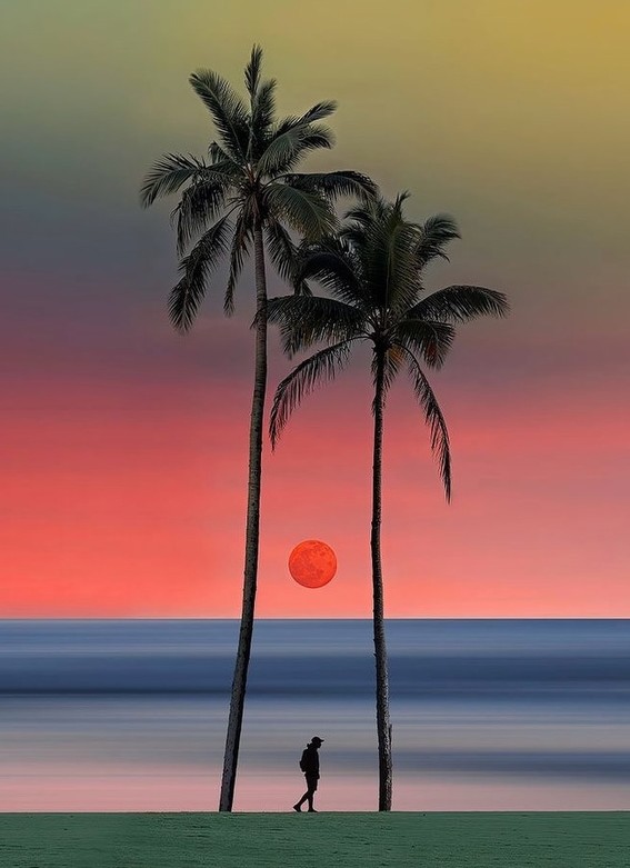 Post by romangeorgievic51 in Terribly beautiful. - DSCVR