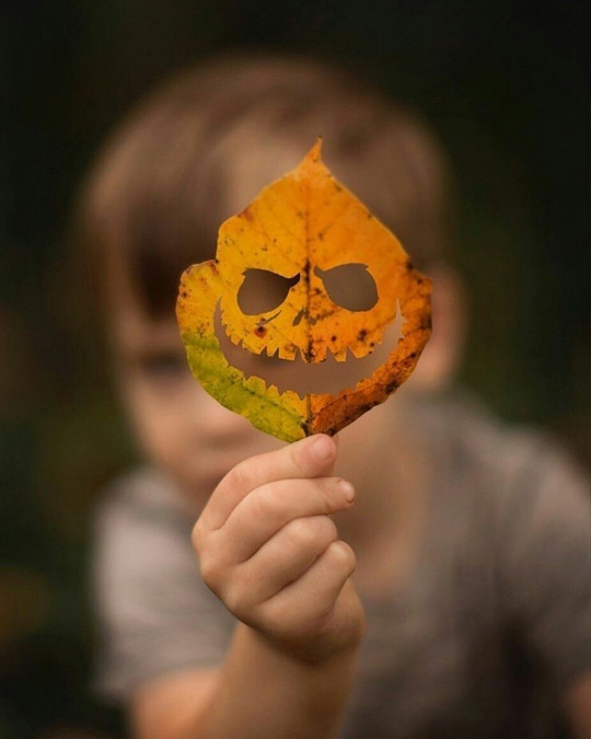 Post by romangeorgievic51 in Terribly beautiful. - DSCVR