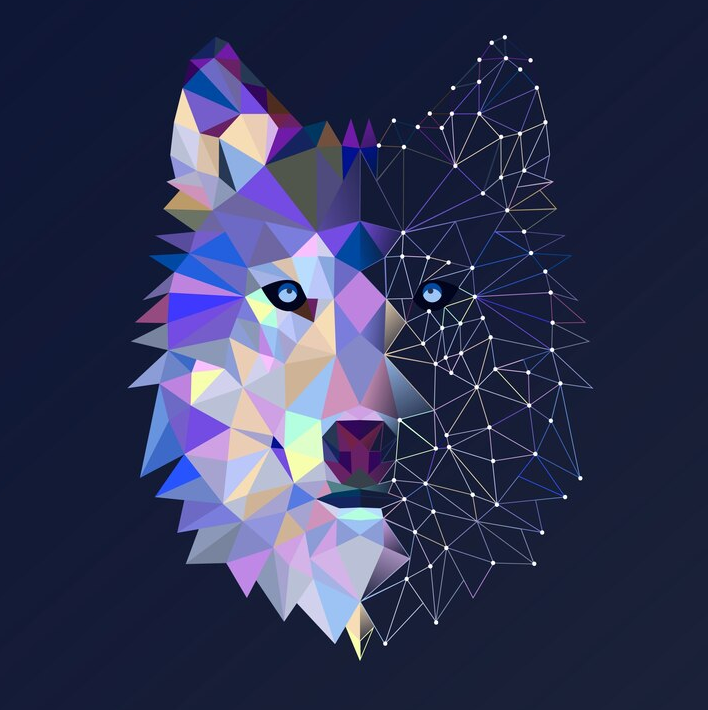 alfazkhan's posts - DSCVR