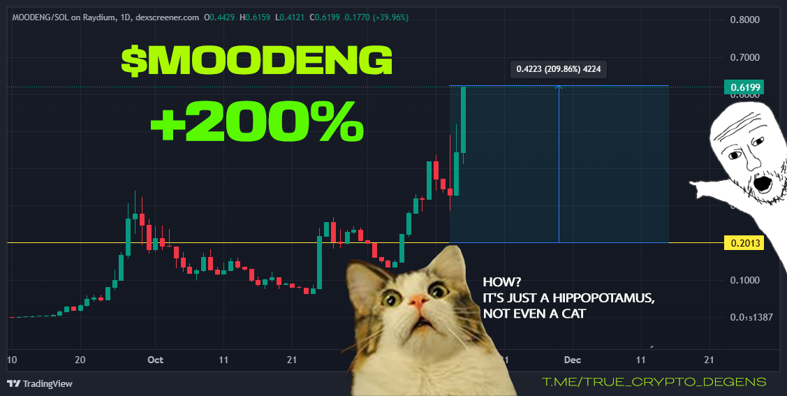 Yay, here are x3 for $MOODENG 🚀 It's hot! It's not for noth in SOLANA DEGENS - DSCVR
