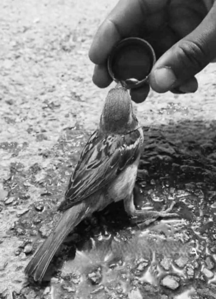 Post by romangeorgievic51 in MonoArt - DSCVR