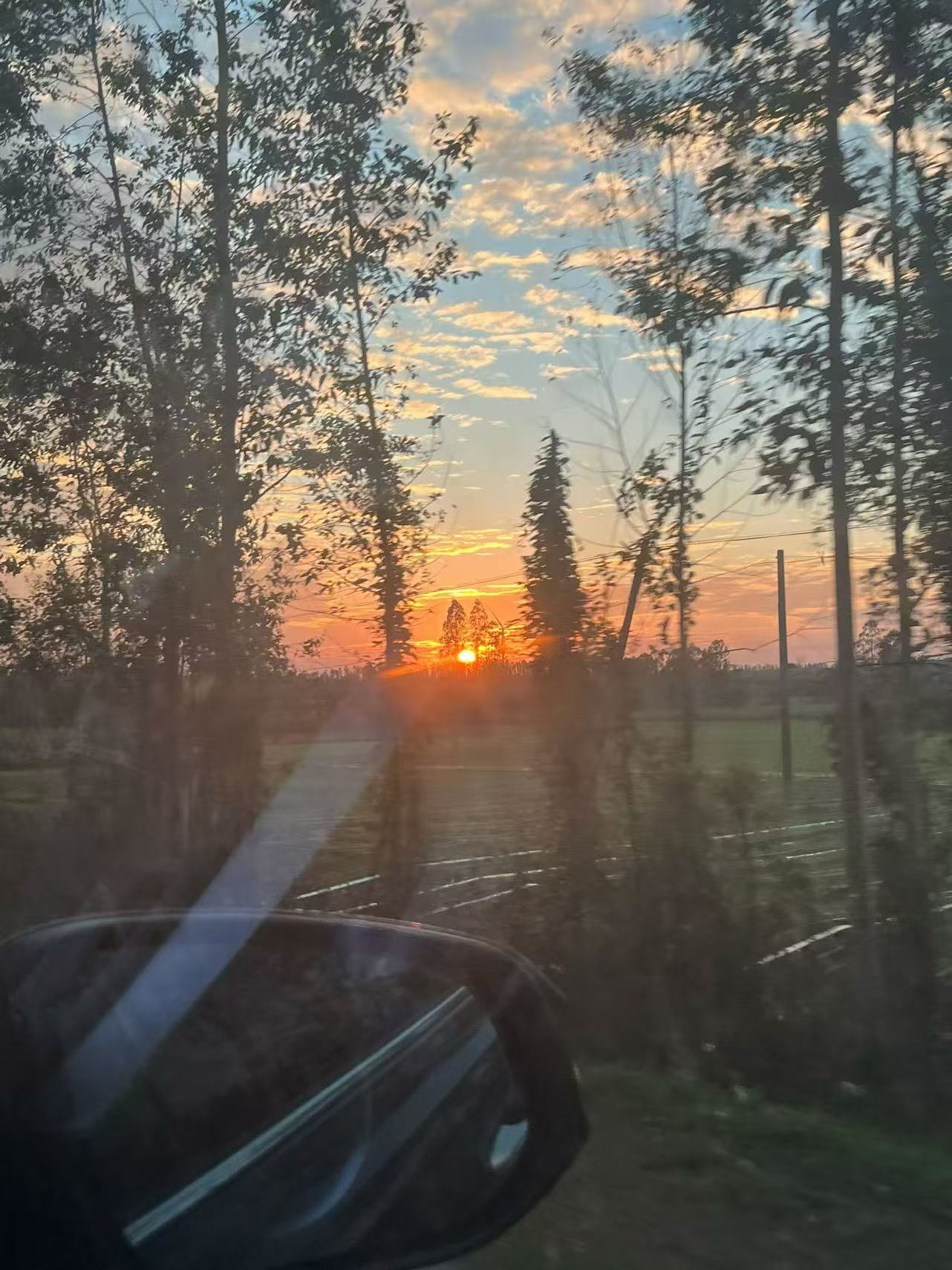 Post by StevenLee in Happy Life - DSCVR