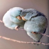 Posts in Warm Ray - DSCVR Community